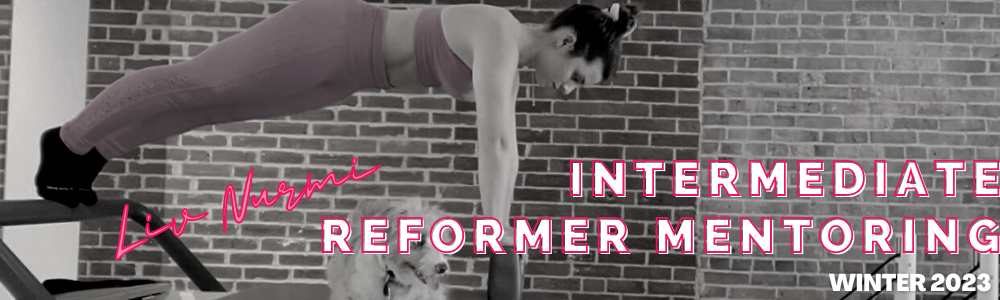 Intermediate Mentoring :: Boston Body